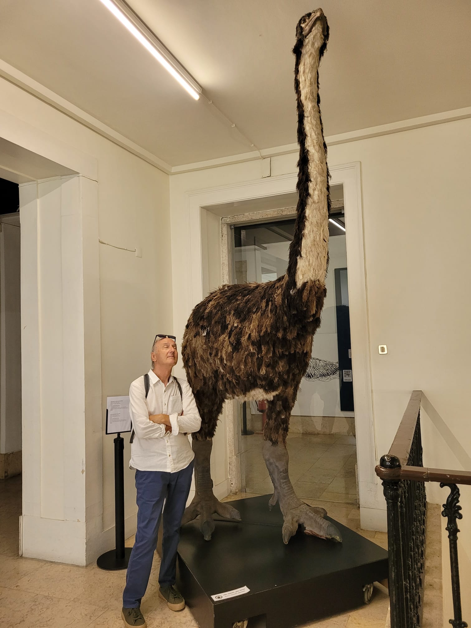 ABOUT – Words Songs Arty